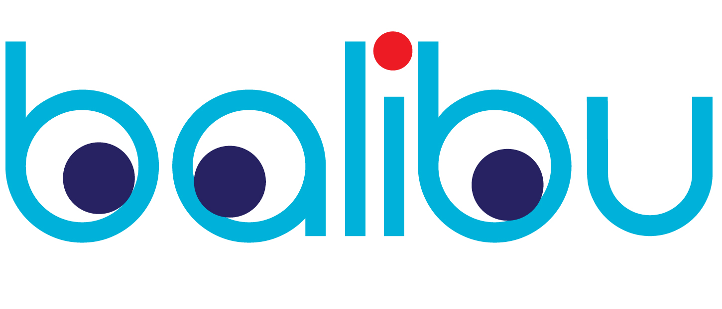 Unsere Versandpartner - Päckli Punkt